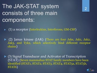 JAK STAT.pptx