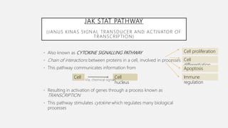 Jak stat pathway | PPTX