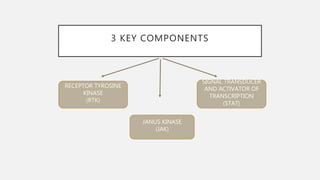 Jak stat pathway | PPTX