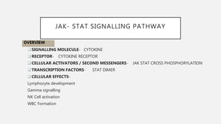 Jak stat pathway | PPTX