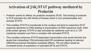 JAK STAT Pathway.pptx