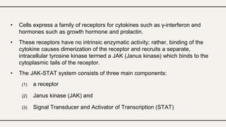 JAK STAT Pathway.pptx