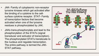 JAK STAT Pathway.pptx