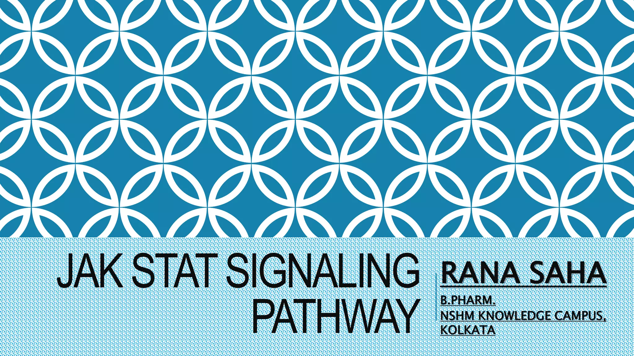 JAK STAT SIGNALING PATHWAY | PPTX