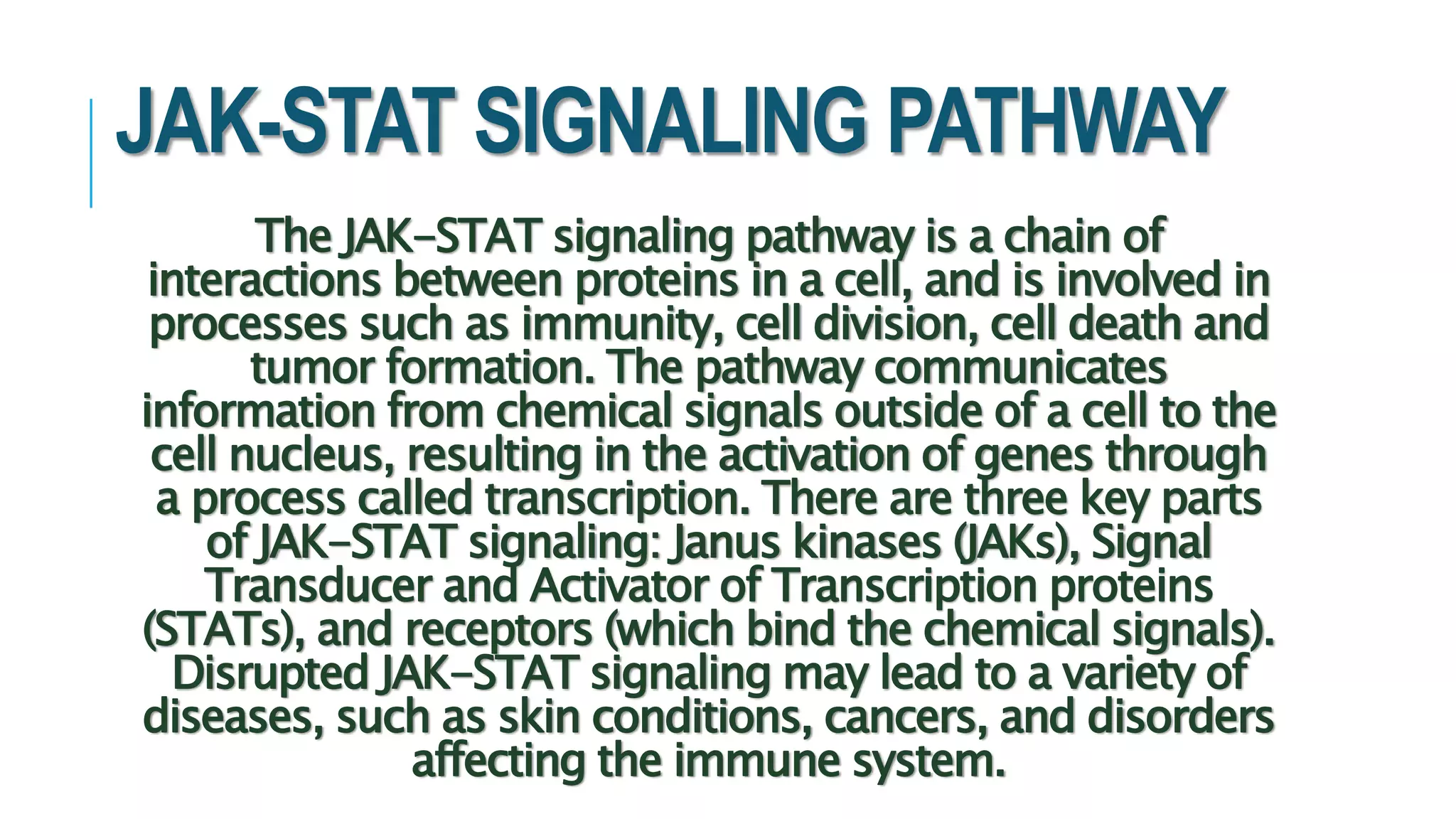 JAK STAT SIGNALING PATHWAY | PPTX