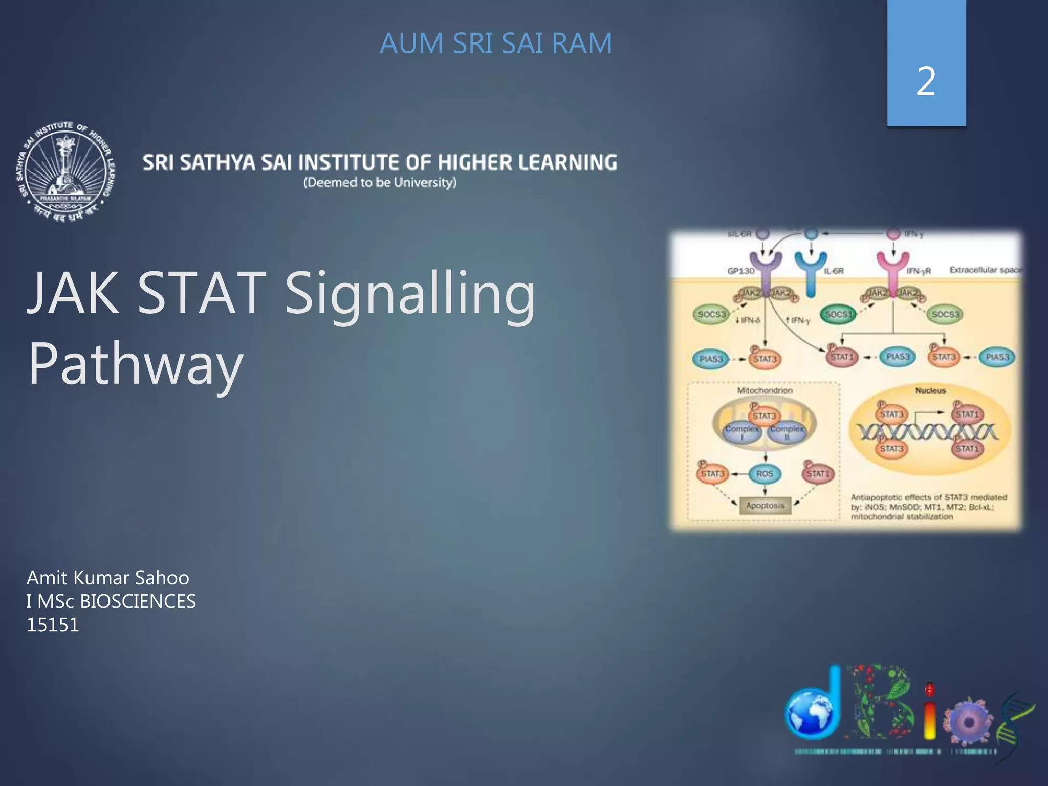 Jak stat signalling pathway | PPTX