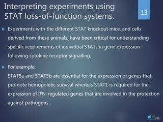 Jak stat signalling pathway | PPTX