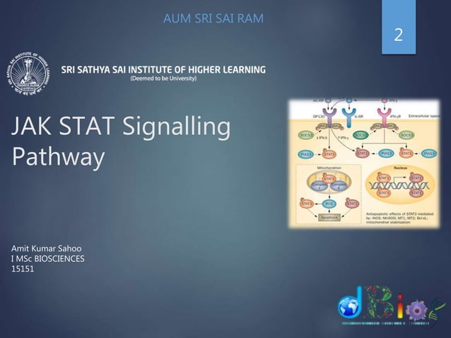 Jak stat signalling pathway | PPTX