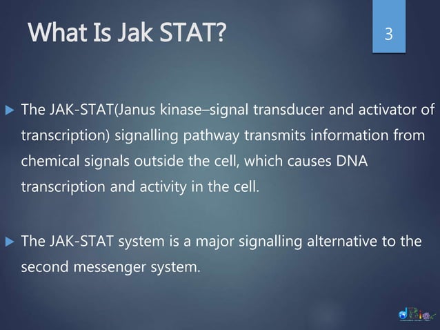 Jak stat signalling pathway | PPTX