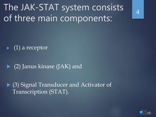Jak stat signalling pathway | PPTX