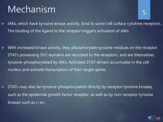 Jak stat signalling pathway | PPTX