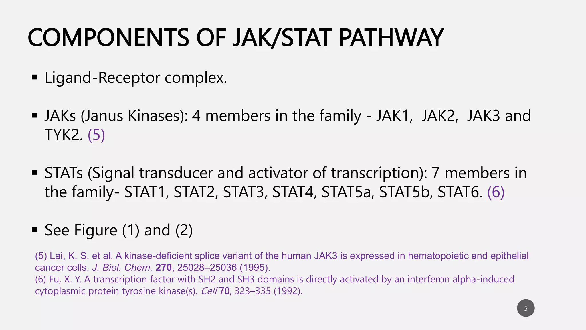 JAK STAT SIGNALING PATHWAY. | PPTX
