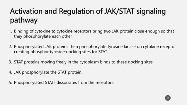 JAK STAT SIGNALING PATHWAY. | PPTX