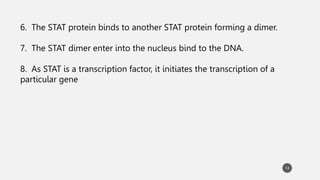 JAK STAT SIGNALING PATHWAY. | PPTX