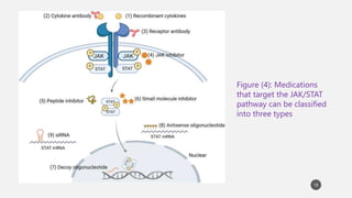JAK STAT SIGNALING PATHWAY. | PPTX