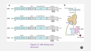 JAK STAT SIGNALING PATHWAY. | PPTX