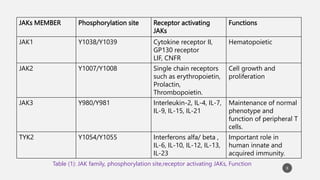 JAK STAT SIGNALING PATHWAY. | PPTX