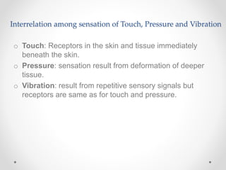 Tactile Sensation | PPTX