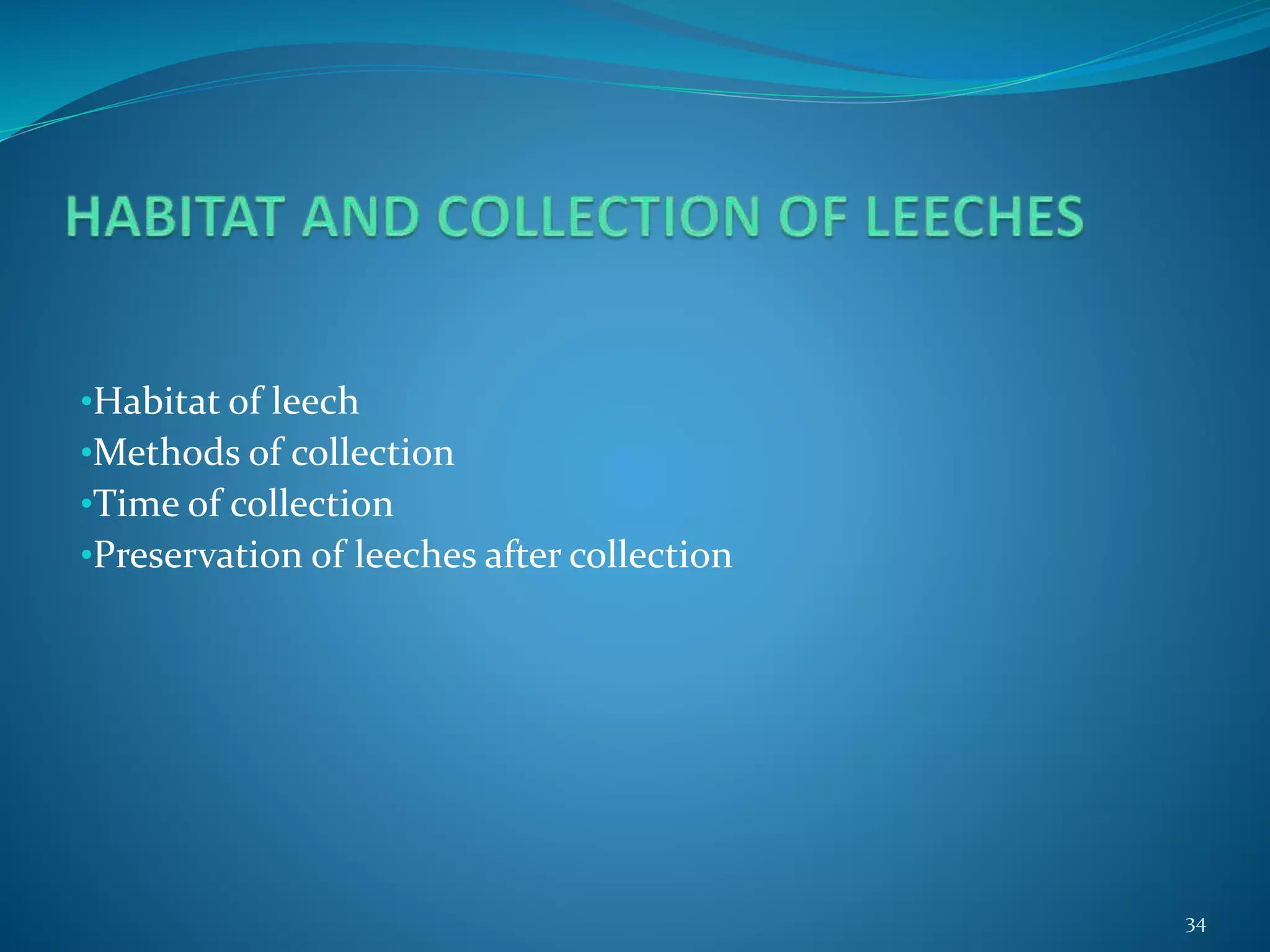 Jalaukavacharana - Leech Therapy in Ayurveda | PPTX