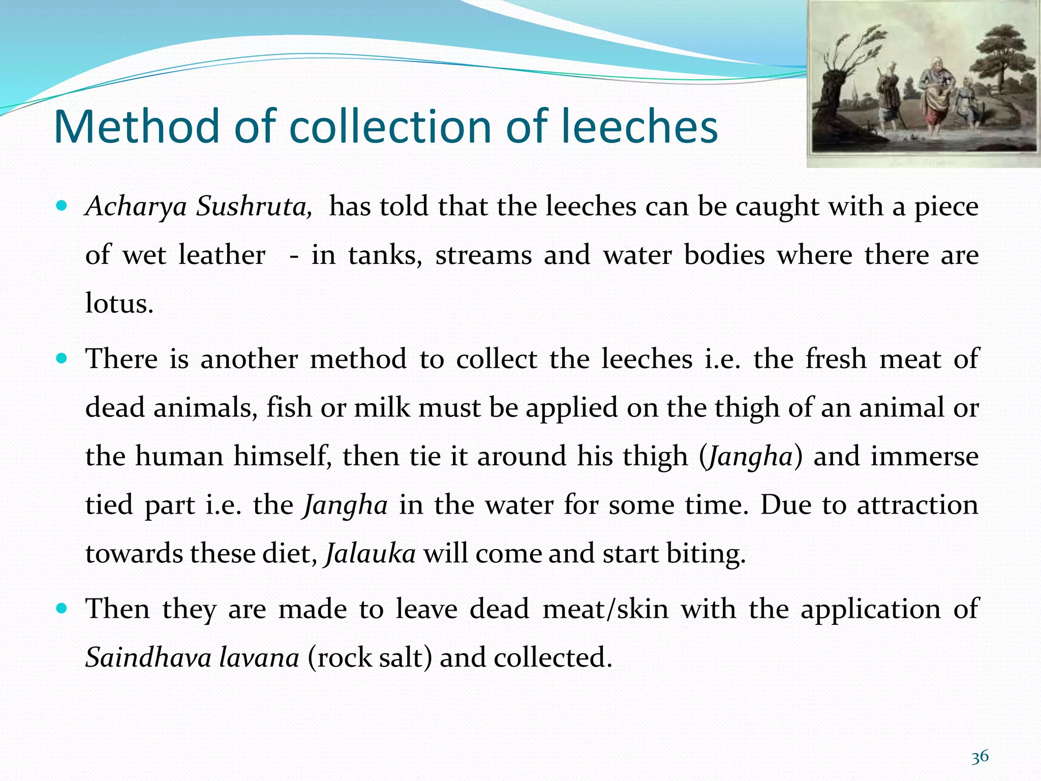 Jalaukavacharana - Leech Therapy in Ayurveda | PPTX