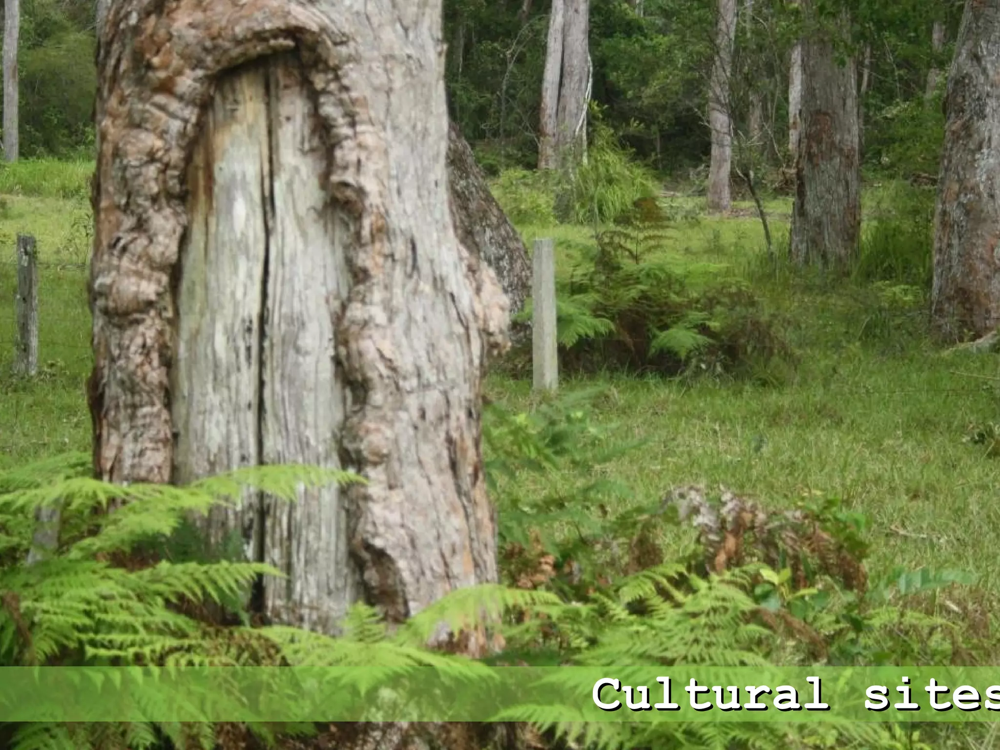 Working On Country - Ngunya Jargoon IPA | PPT