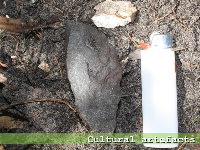 Working On Country - Ngunya Jargoon IPA | PPT