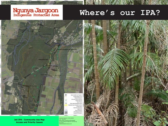 Working On Country - Ngunya Jargoon IPA | PPT