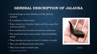 Jaloukacharana | PPTX