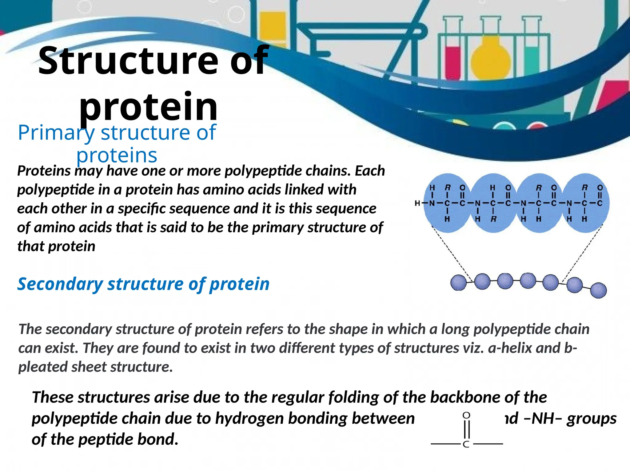 Structures of protein eg primary, secondary | PPT