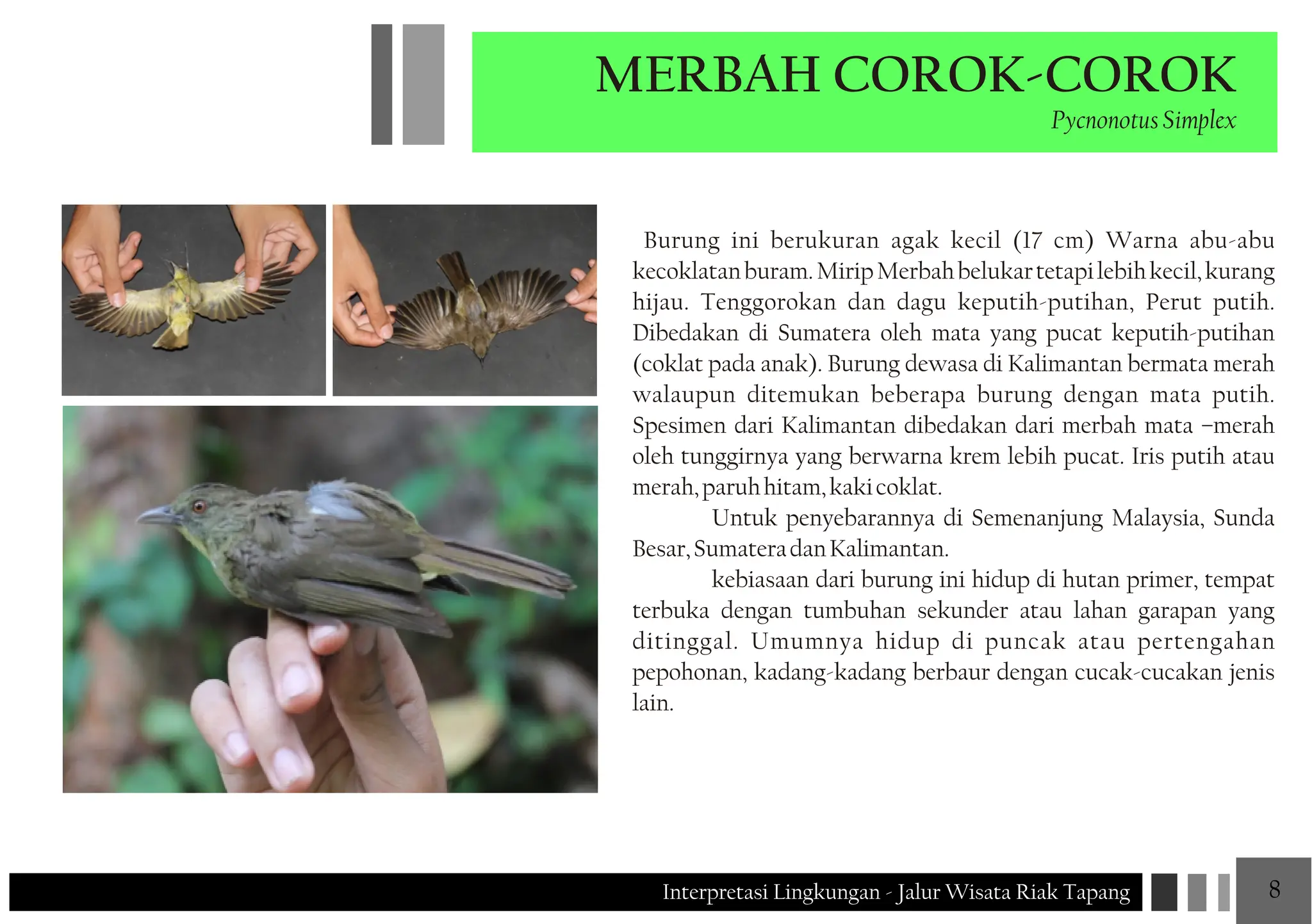 JALUR WISATA RIAK TAPANG Interpretasi Lingkungan JALUR WISATA RIAK TAPANG (Betung Kerihun).pdf