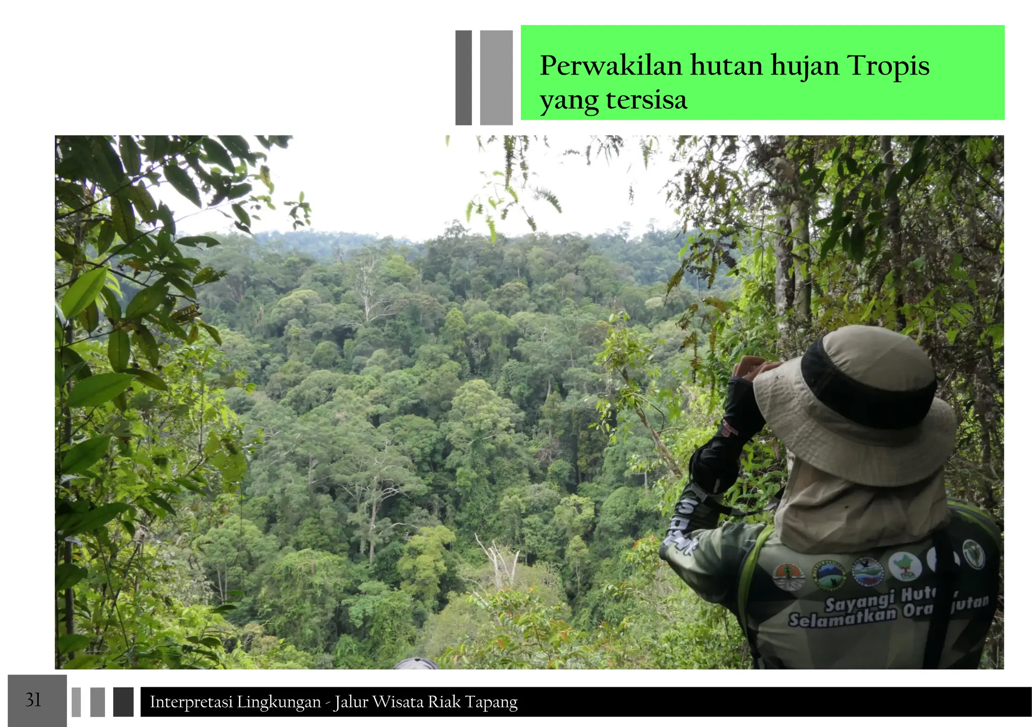 JALUR WISATA RIAK TAPANG Interpretasi Lingkungan JALUR WISATA RIAK ...