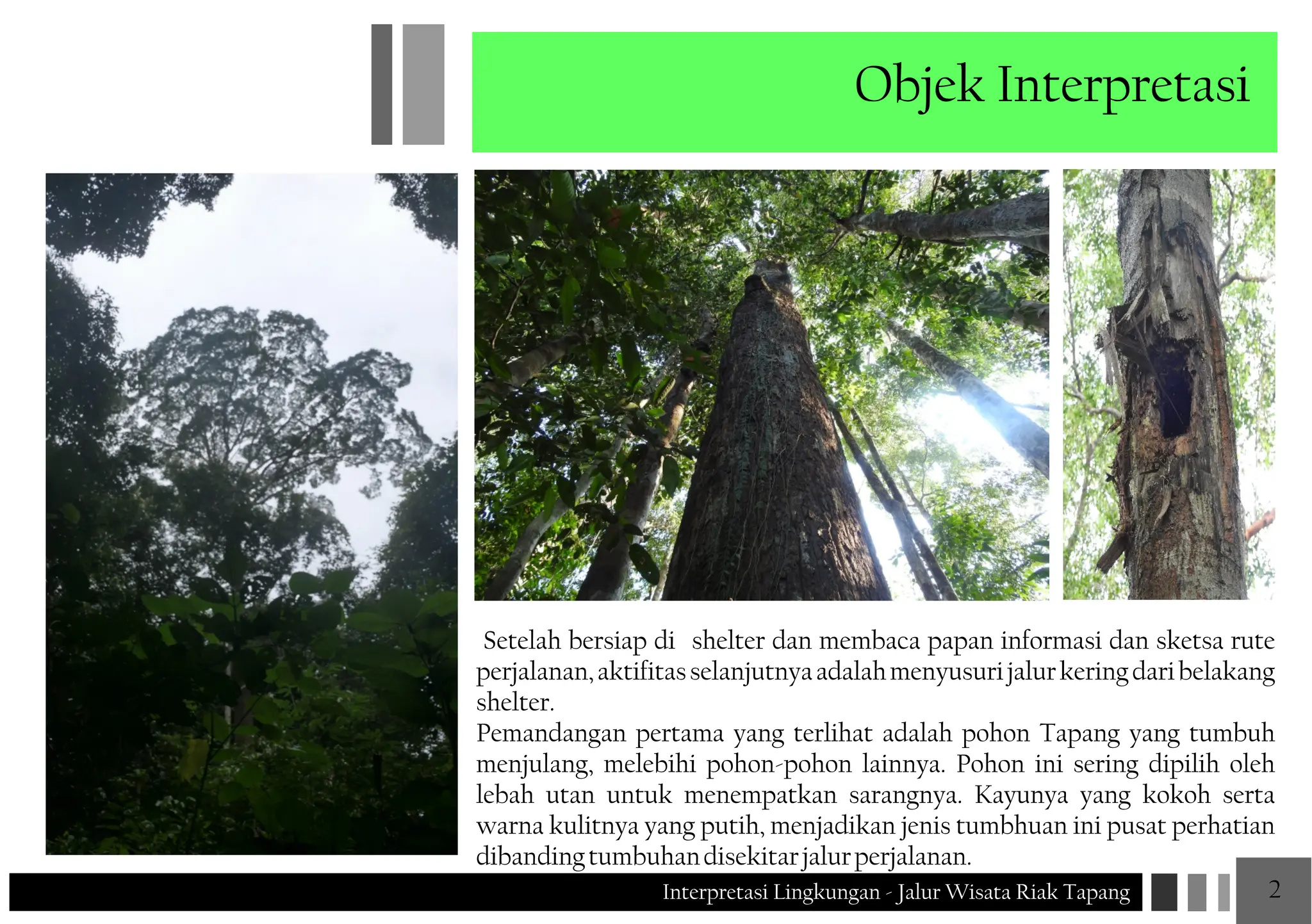 JALUR WISATA RIAK TAPANG Interpretasi Lingkungan JALUR WISATA RIAK ...