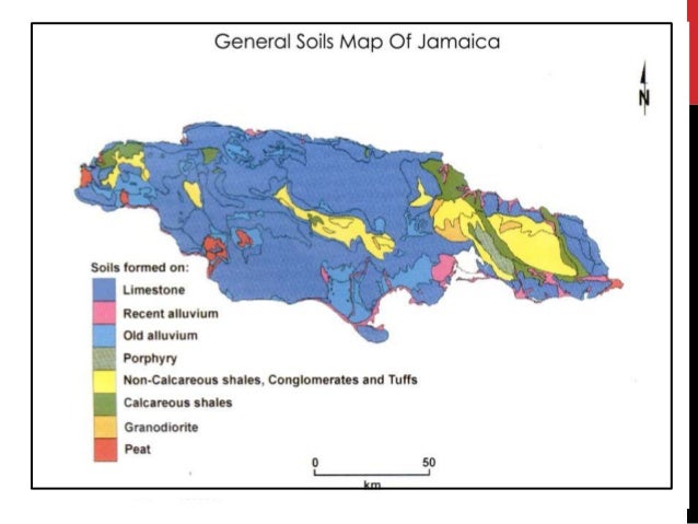 Status, Priorities and Needs for Sustainable Soil Management in Jamai…
