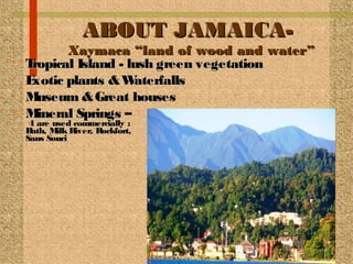 Jamaica no problem | PPT