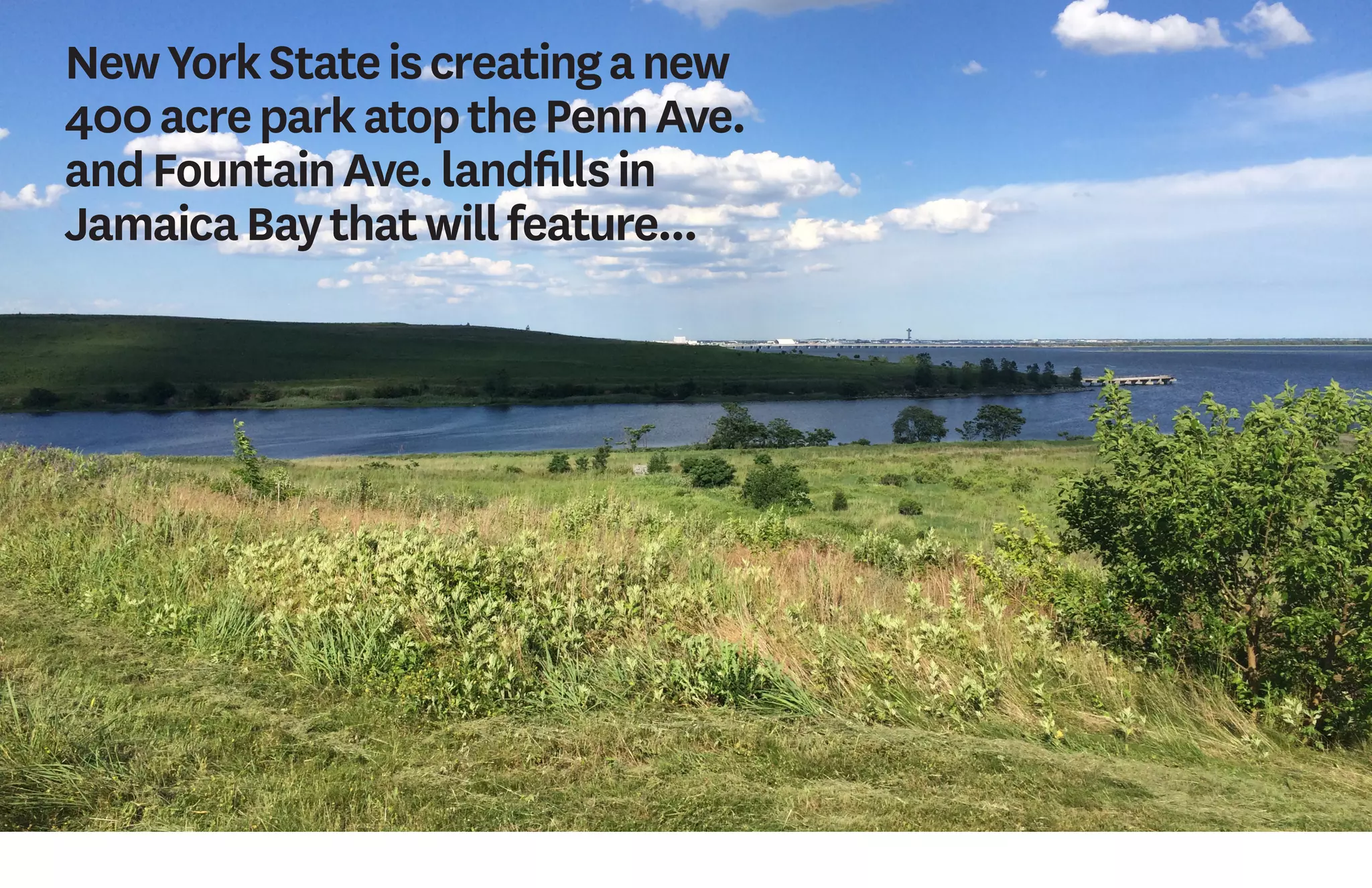 Shirley Chisholm State Park-Brooklyn | PDF