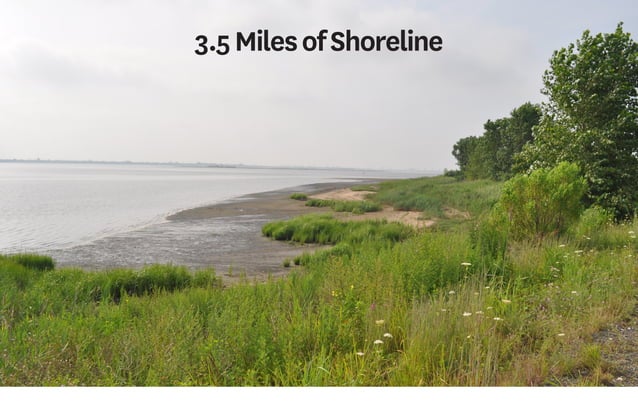 Shirley Chisholm State Park-Brooklyn | PDF | Parks | Attractions