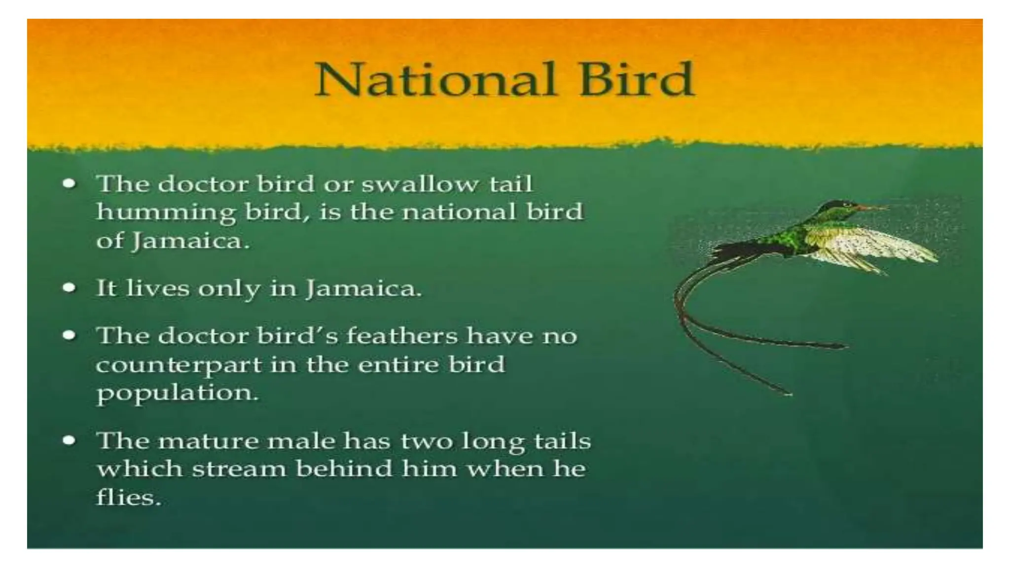 Jamaica's National Symbols and Emblems ppt | PPTX