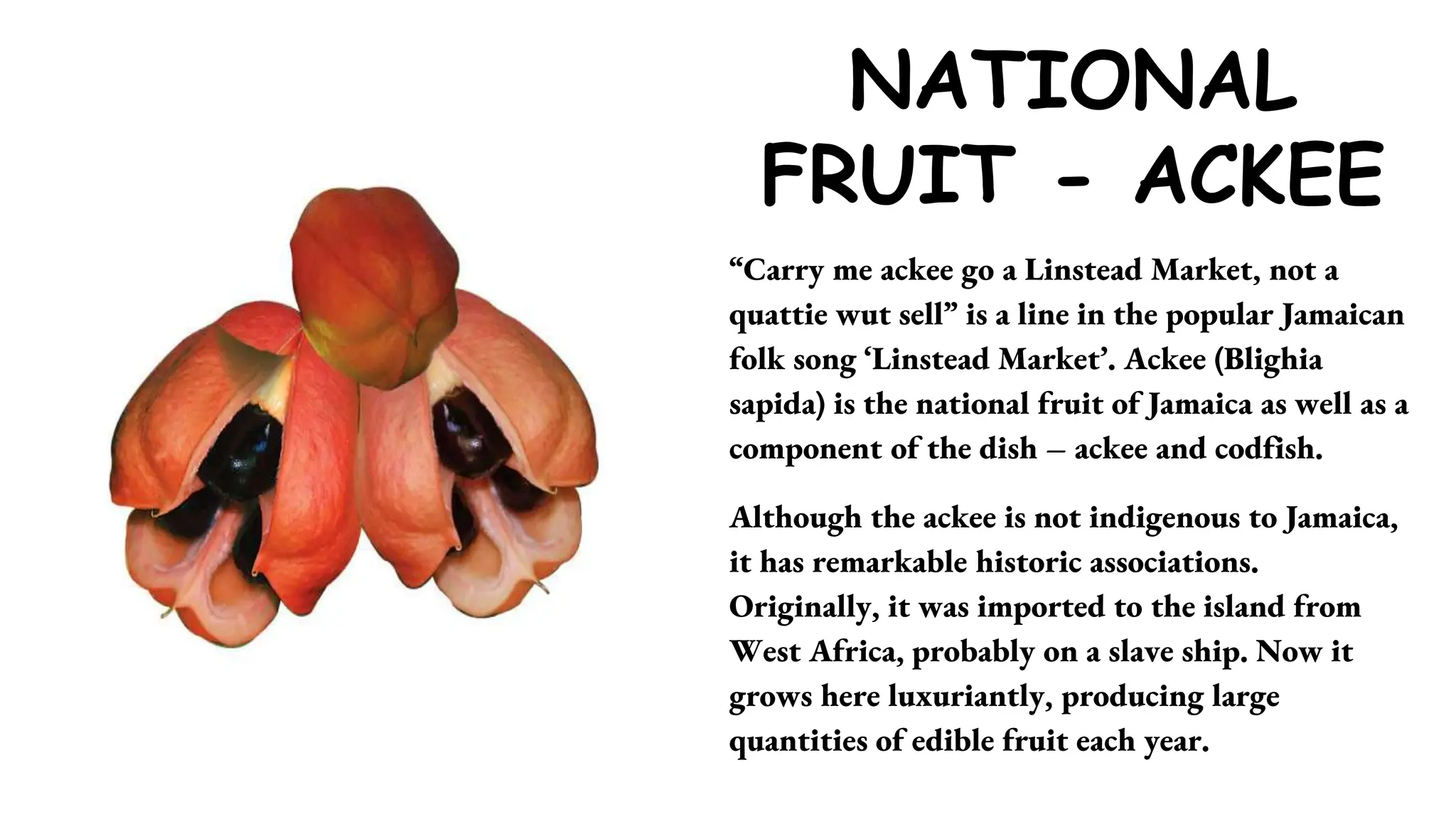 Jamaica's National Symbols and Emblems ppt | PPTX