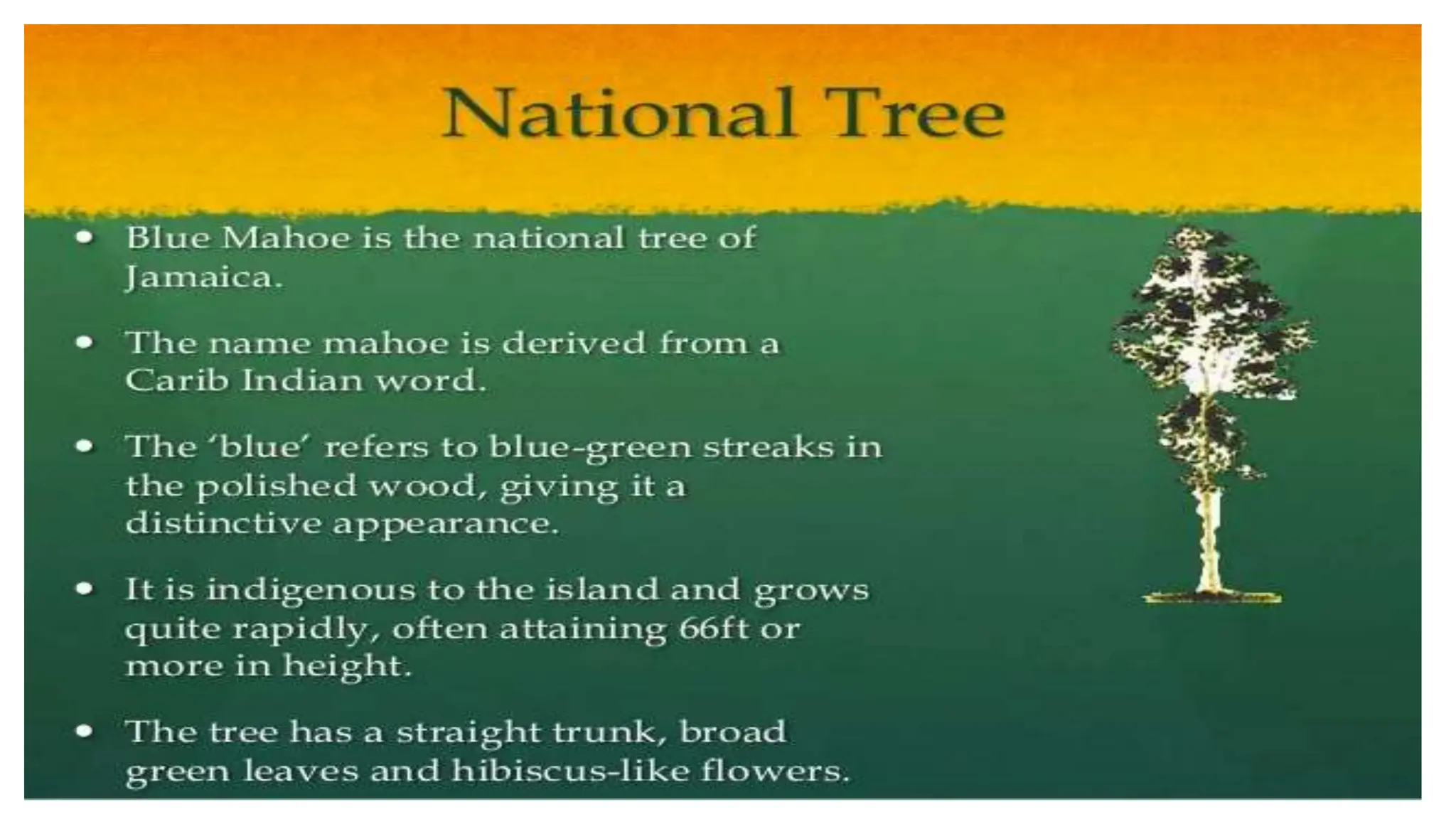 Jamaica's National Symbols and Emblems ppt | PPTX