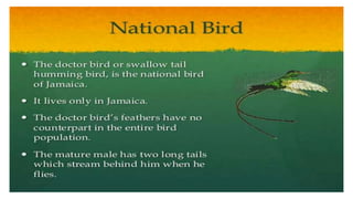 Jamaica's National Symbols and Emblems ppt | PPTX