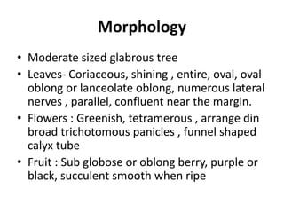 Jambu, jatamansi, Jeeraka-dwaya,Jaateephala | PPTX