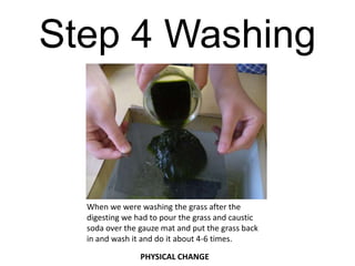 Making Paper from Grass | PPT