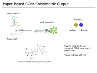 Paper-based synthetic gene networks | PPT