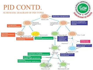IMMUNODEFICIENCY IN HAEMATOLOGY | PPT