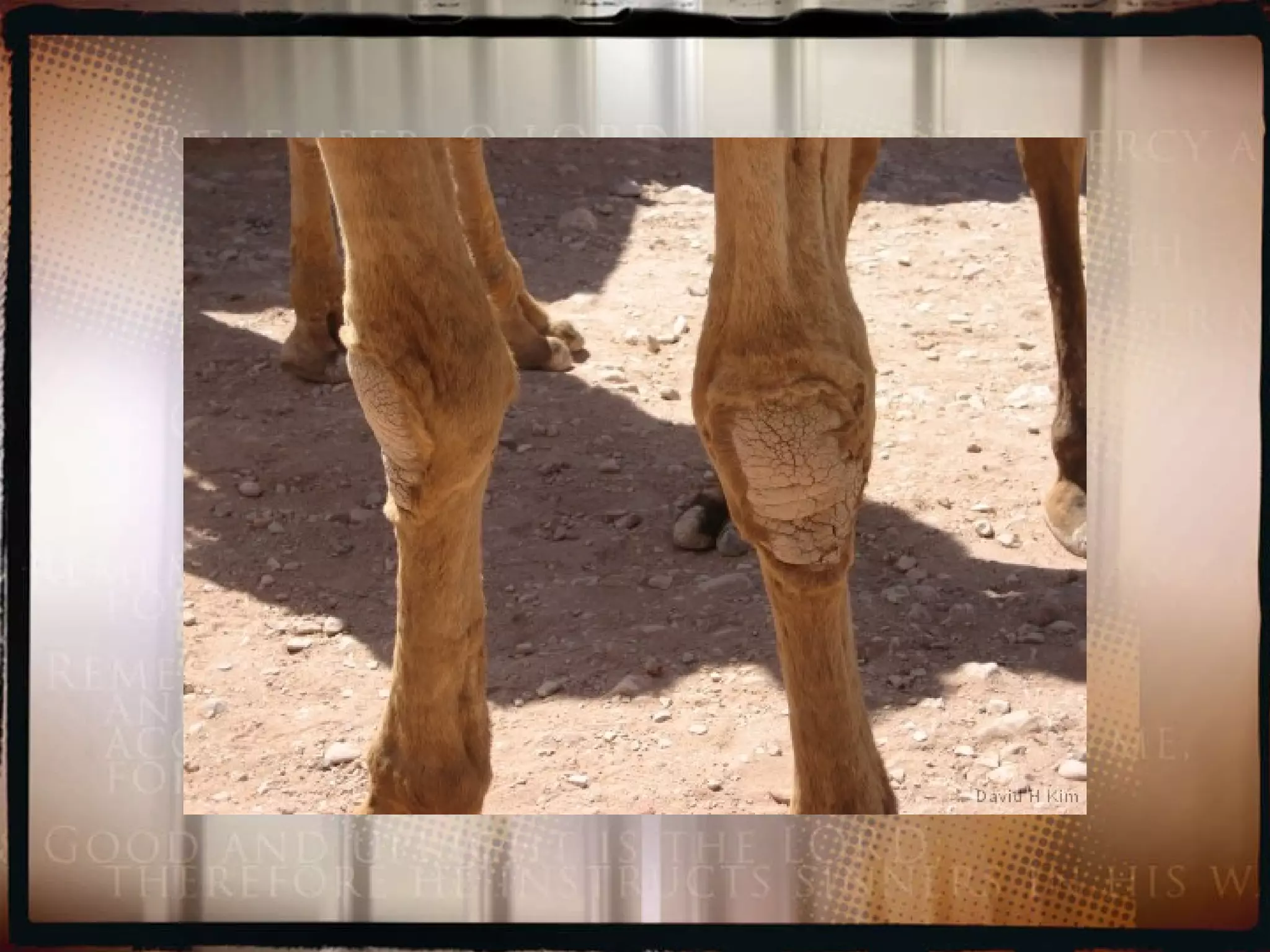 James 2: 14-26: Faith and Deeds | PPT