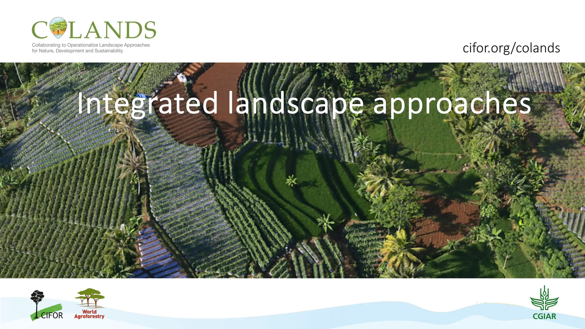 Presentations – COLANDS