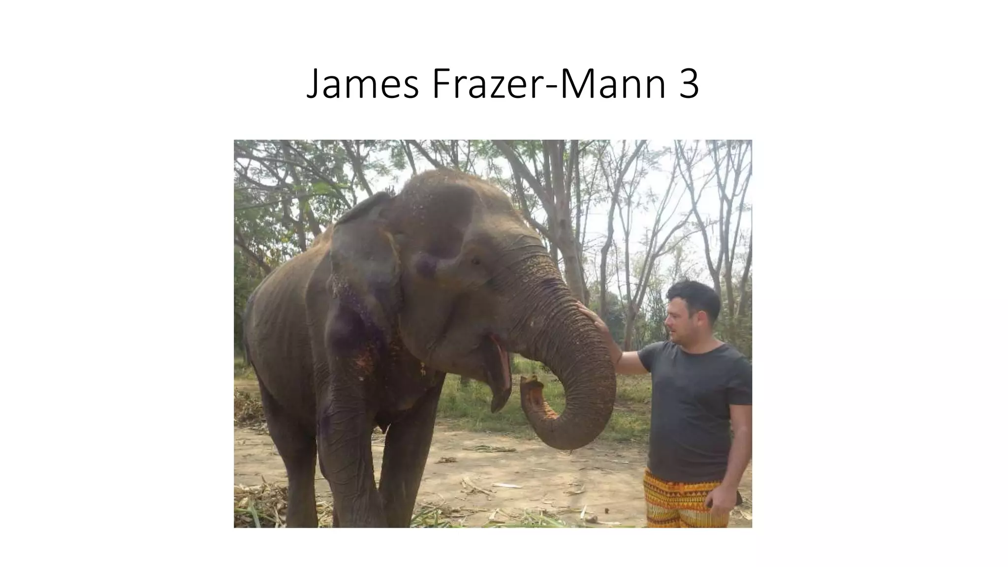 JAMES FRAZER-MANN | PPT