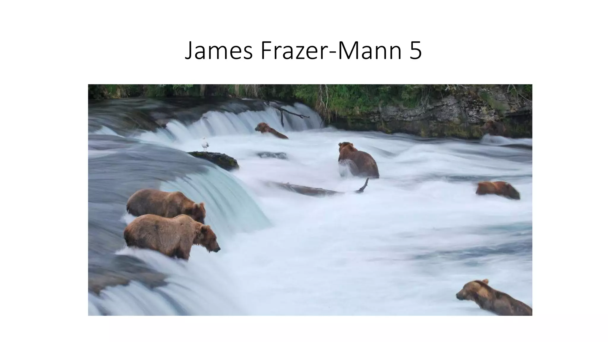 JAMES FRAZER-MANN | PPT