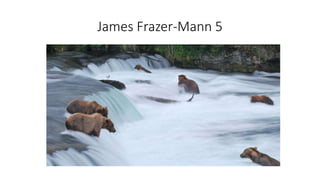 JAMES FRAZER-MANN | PPT