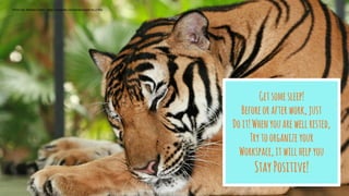 James veach ppp | PPT | Free Download